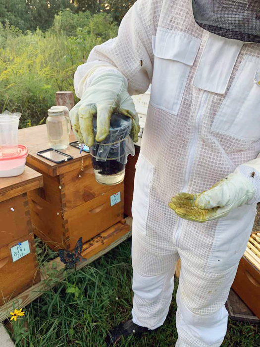 Conduct an Alcohol Wash for Varroa Mite Monitoring - Backyard Beekeeping